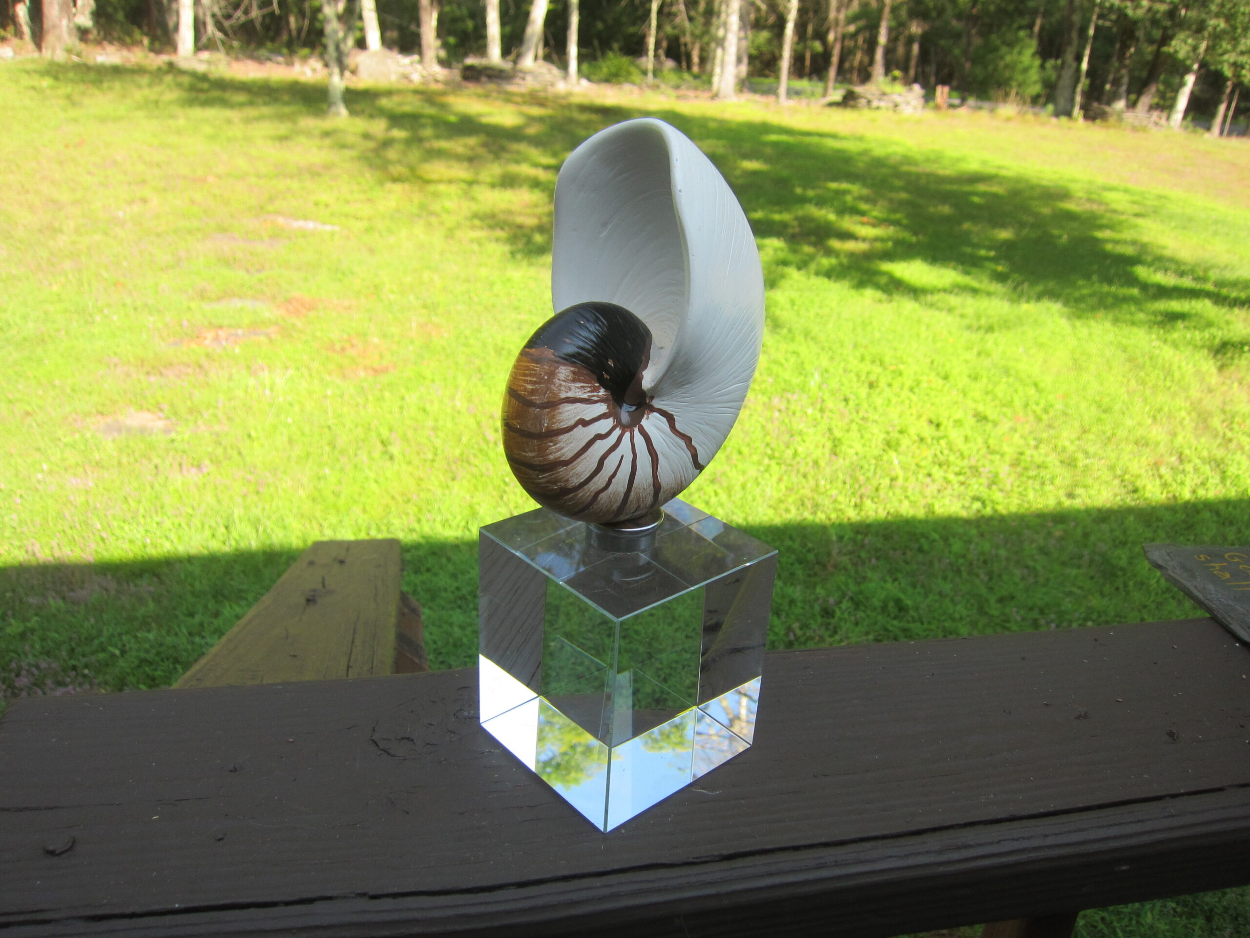 Snail Shell Art Sculpture Beach house Decor, Snail paperweight